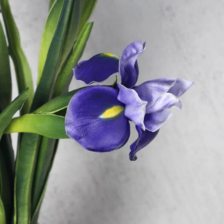 Lila Blumen Langer Stiel – Die 15 besten Produkte im Vergleich ...