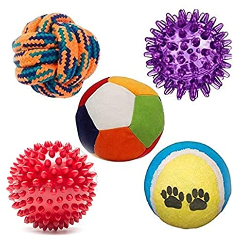 Buy Furry Critters Puppy Ball 5 in 1 Combo - Rattle Ball | Tennis Ball ...