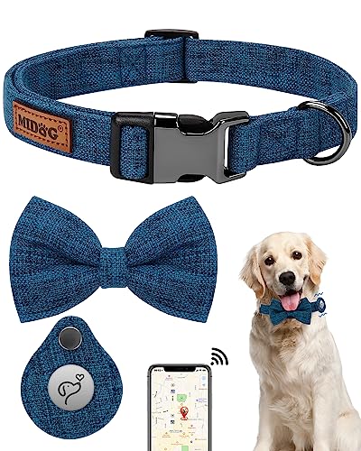 Blue Collar Dog – The 15 best products compared - Wild Explained