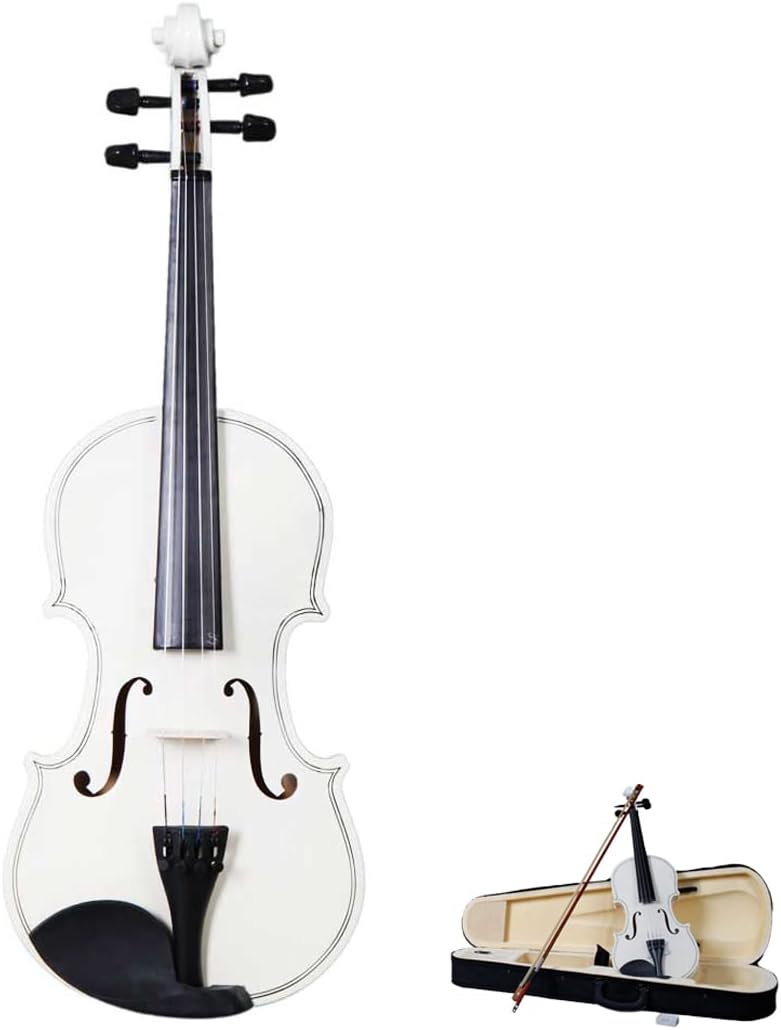 Amazon.com: 4/4 Acoustic Violin Set,Beginner Violin Vintage Solid Wood ...