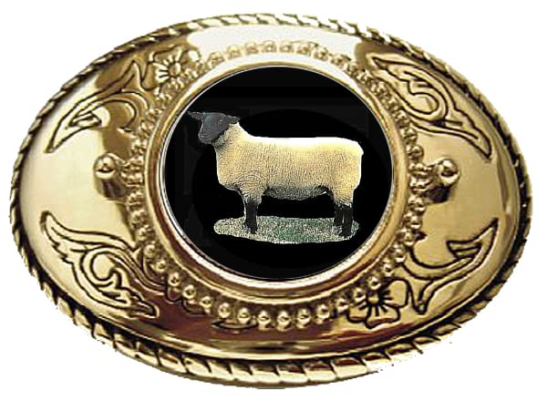 Amazon.com: SUFFOLK SHEEP RAM LAMB WESTERN 4H BELT BUCKLE : Clothing ...