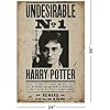Amazon.com: Harry Potter - Undesirable No 1 Poster 24 x 36 inches ...