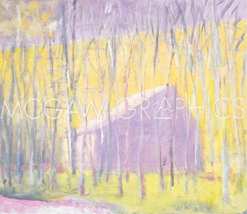 Amazon.com: Bruce McGaw Graphics Saltbox Barn By Wolf Kahn Art Print ...