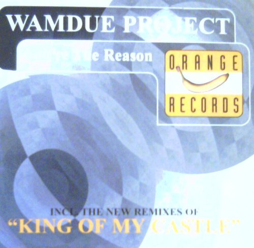 You're the Reason: Wamdue Project: Amazon.in: Music}