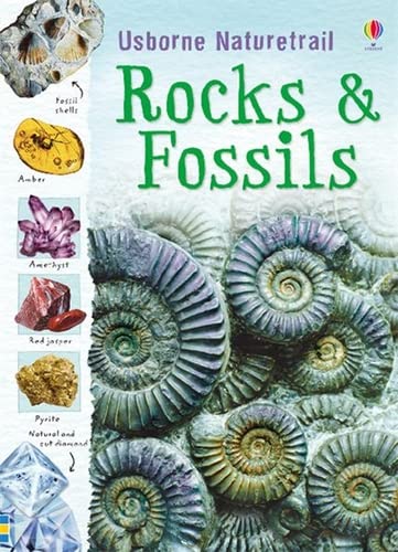 Rocks and Fossils: 1 (Naturetrail) : Reid, Struan, Reid, Struan: Amazon ...