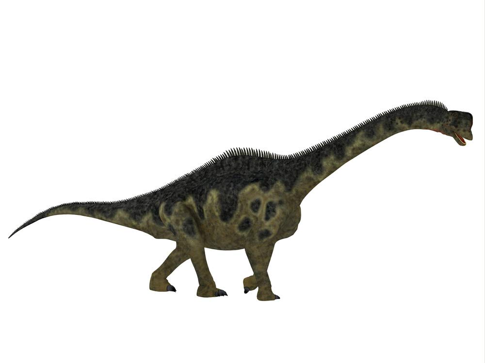 Europasaurus