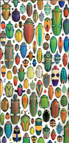 Christopher Marley: Exquisite Creatures 4 X 9" Notepad: Christopher ...