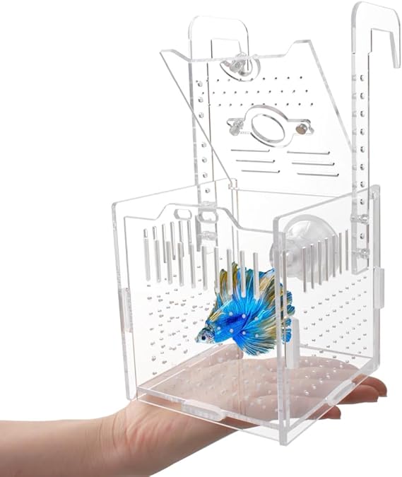 Amazon.com : Acrylic Fish Breeding Box with Suction Cups,4x4x4 Inch ...