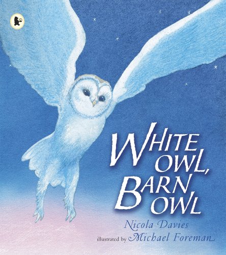 White Owl, Barn Owl: Davies, Nicola: 9781406313123: Amazon.com: Books