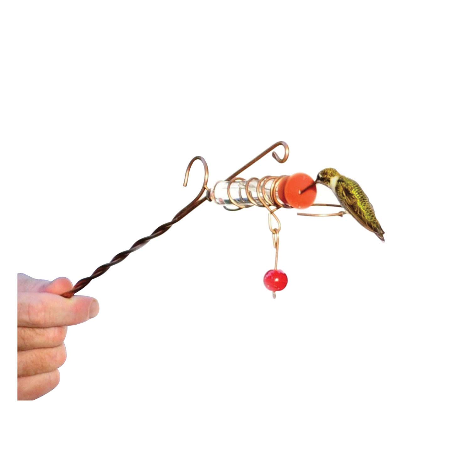 Amazon.com : Songbird Essentials Whimsy Wand Hand Held Hummingbird ...