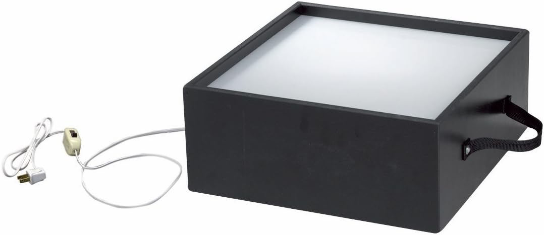 Amazon.com: Sensory Light Box : Health & Household