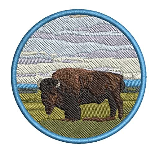 Amazon.com: Buffalo Patch Embroidered Iron-on/Sew-on Applique Vacation ...