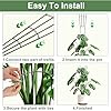Amazon.com : Xeeol 30'' Larger Plant Trellis with Ties Indoor ...