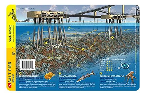 Salt Pier Bonaire Waterproof Dive Card: Reef Smart: 9781988818108 ...