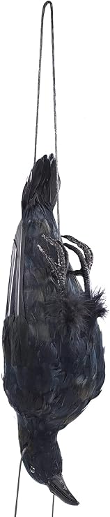 17 inch Realistic Hanging Dead Crows Decoy Lifesize Extra Large Black ...