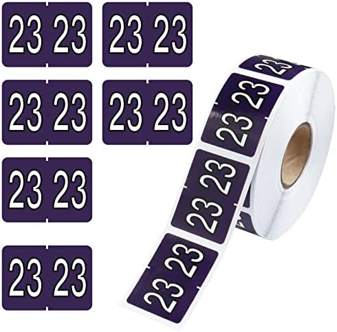 Amazon.com : 2023 Year Stickers 500pcs File Stickers Labels Purple ...