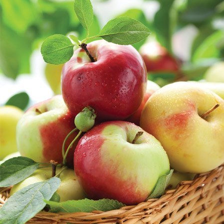 Apple Napkins SUNNY APPLES in Apple Basket 2 X 20pcs 13"x13" Yellow ...