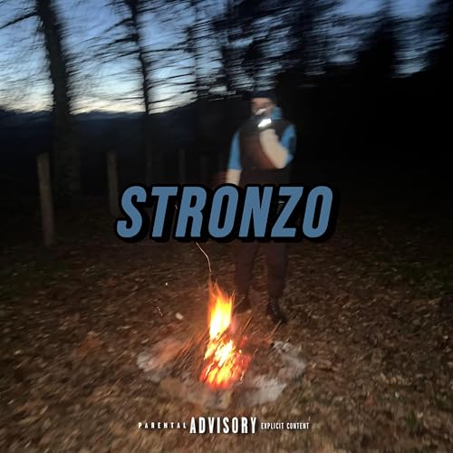 Stronzo by Lleshuli on Prime Music