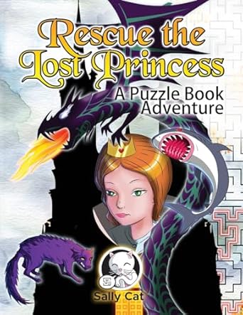 Rescue the Lost Princess: A Puzzle Book Adventure : Cat, Sally: Amazon ...
