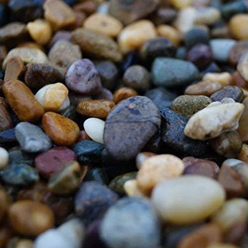 RockinNature 28-50mm Medium Irish Beach Pebbles Large Pack decorative ...
