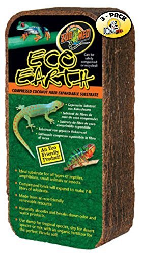 Setting up a Crested Gecko Habitat (Step-by-Step Guide)