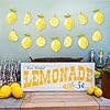 Amazon.com: Kristin Paradise Lemon Banner, Citrus Lemonade Party Sign ...