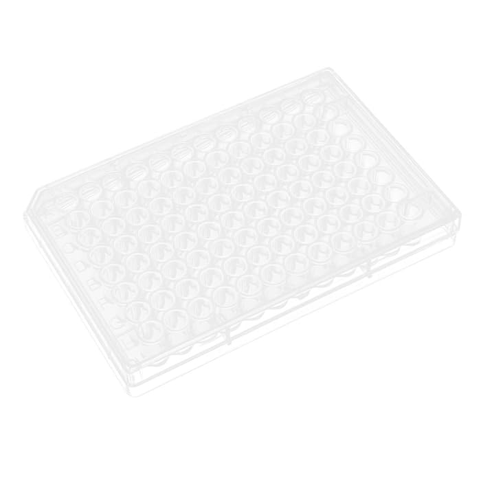 Buy EuisdanAA Flat Bottom 96 Wells Polystyrene Cell Culture Plate w Lid ...