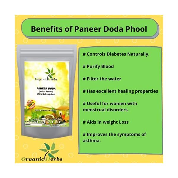 Ayurveda Paneer Phool | Paneer Doda/DODI | Withania Coagulans, | Gourmetian