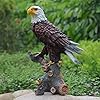 Amazon.com : OBISE Garden Sculpture & Statue Flight of Freedom American ...