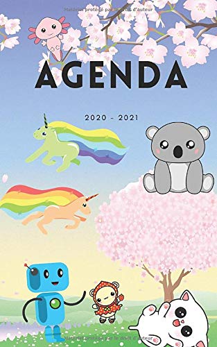 Amazon.com: Agenda Scolaire 2020 2021 Journalier Kawaii / Panda Licorne ...