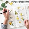 Amazon.com: Natural Flower Stickers for Scrapbooking,PET Nature Plant ...