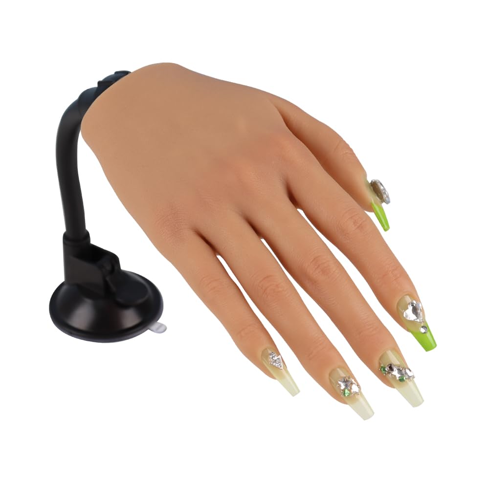 Amazon.com: Practice Hand for Acrylic Nails with Stand Bracket ...
