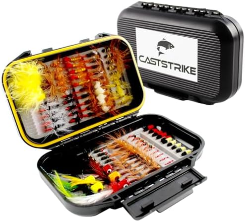 Amazon.com : CASTSTRIKE Fly Fishing Flies Kit 100pcs Dry Wet Nymph ...