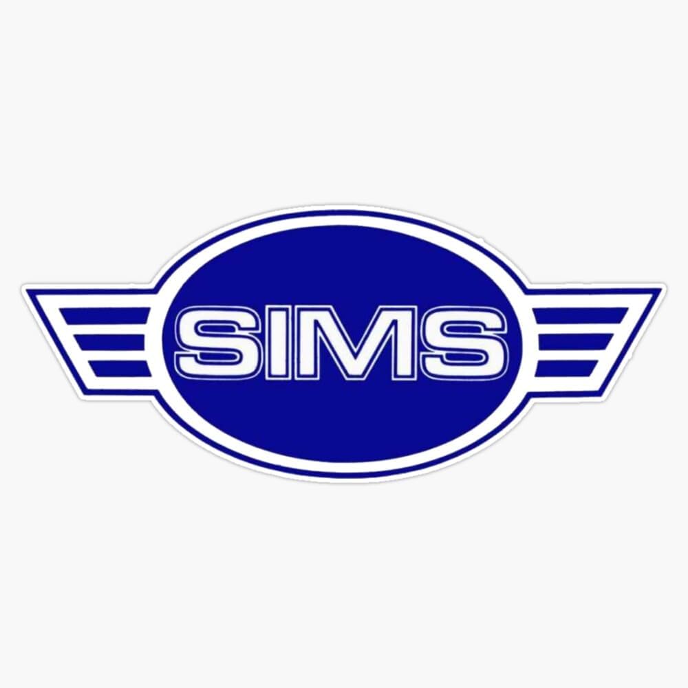 Amazon.com: Sims Skateboard Design Vinyl Sticker Waterproof Decal ...