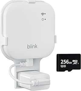 Amazon.com : Blink 256GB MicroSD Card for Blink Sync Module XR, Easy ...