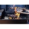 Amazon.com : Pit Boss Portable Battery Powered Wood Pellet Grill ...