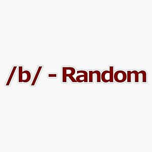 Amazon.com: /B/ - Random 4Chan Logo Sticker Vinyl Bumper Sticker Decal ...