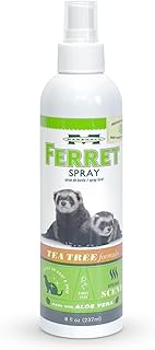 The Truth About Ferret Odor And How To Control It | PetShun