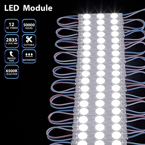 Snapklik.com : 500 Pcs LED Module White 6500K 12W LED Storefront Lights ...
