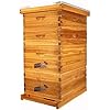 Amazon.com: MayBee 10-Frame Langstroth Beehive Dipped in 100% Beeswax, Complete Bee Hives and ...