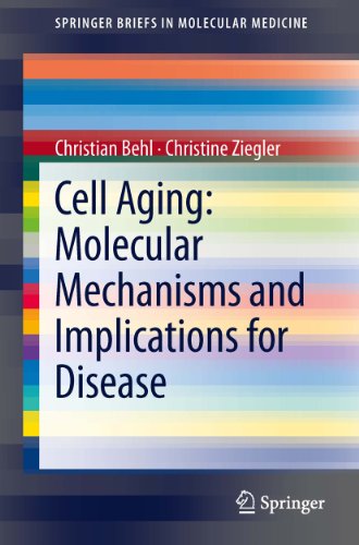 Amazon.com: Cell Aging: Molecular Mechanisms and Implications for ...