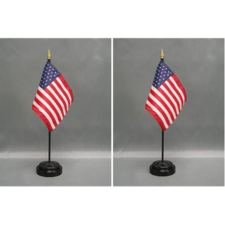 Amazon.com : Made in The USA. 1 American and 1 State Rayon 4"x6" Office ...