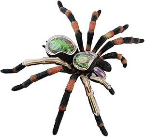 Amazon.com: Mark Teaching Model 4d Removerable Insect Anatomy Model ...