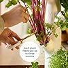 Amazon.com: Gardyn Home 4 Vertical Hydroponics Growing System Kit - 30 ...