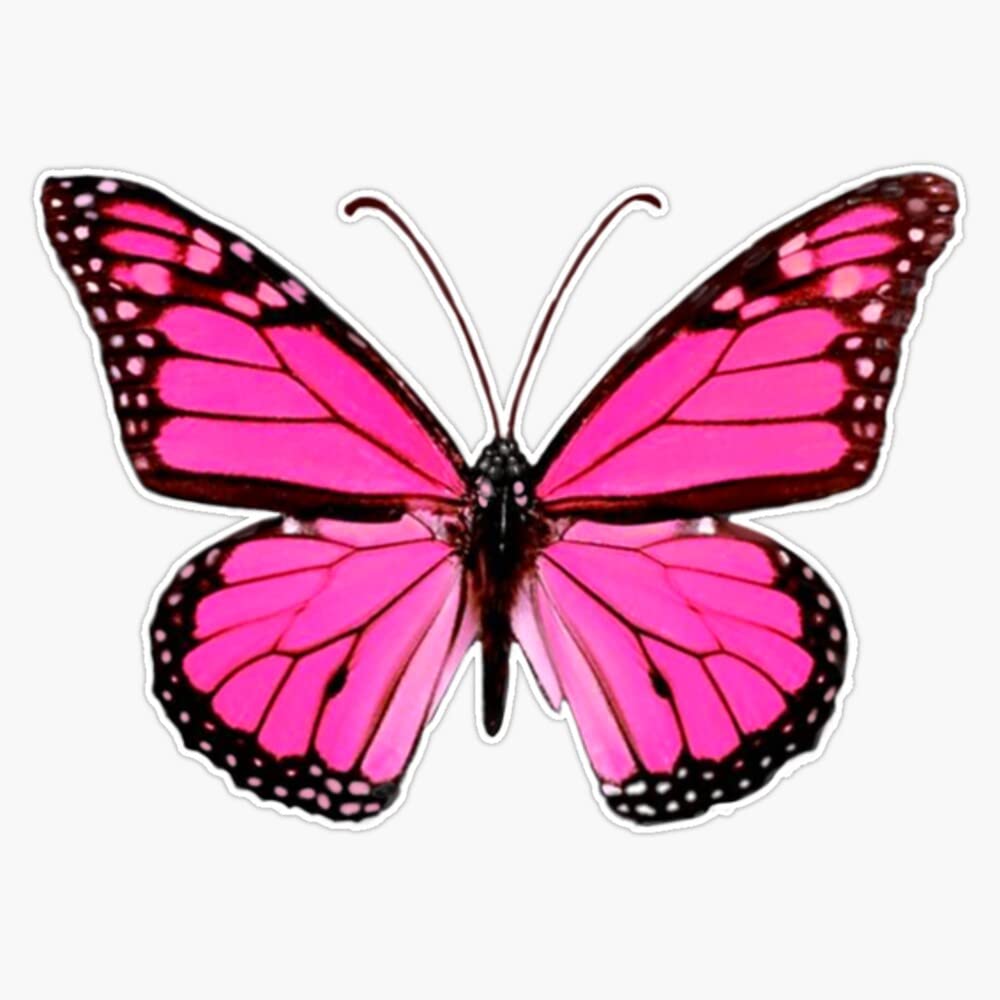 Neon Pink Butterflies