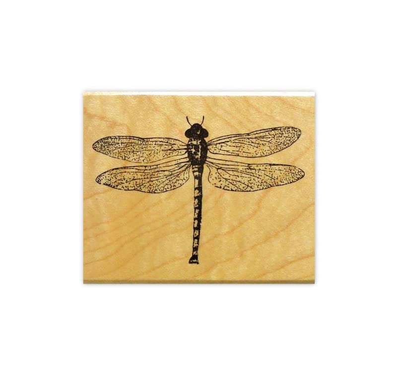 Amazon.com: Realistic Dragonfly Mounted Rubber Stamp #12 : Handmade ...