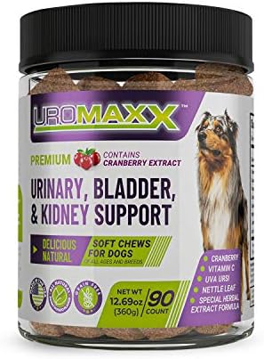 Cat Dog Urinary Tract Infection Treatment Natural UTI Medicine ...