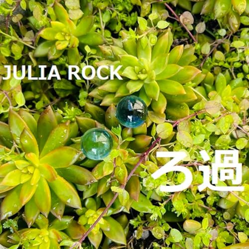 FILTRATION : JULIA ROCK: Amazon.fr: Téléchargement de Musique