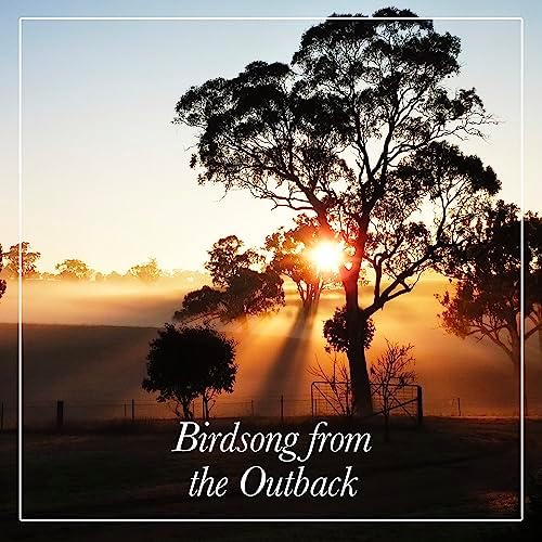 Play Birdsong from the Outback by Australian Nature Sounds, Brain Study ...