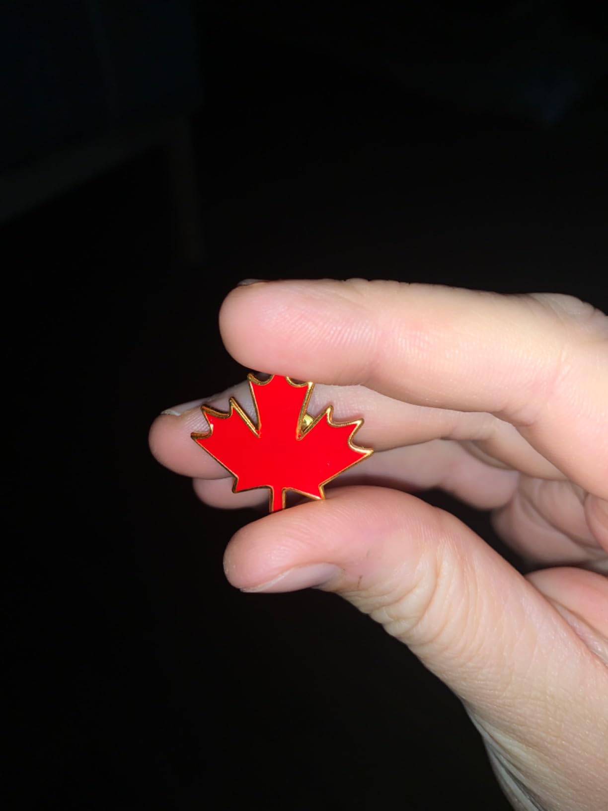 ETEYES 12 Pcs Canada Flag Pin, Canadian Metal Lapel Pins Maple Leaf Pin ...